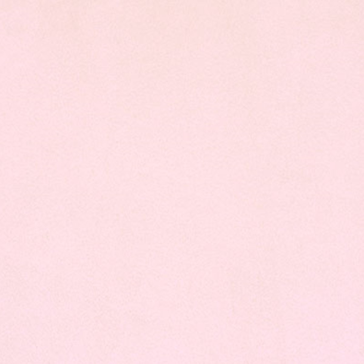 Blush Kozy Cuddle Plush by Shannon Fabrics