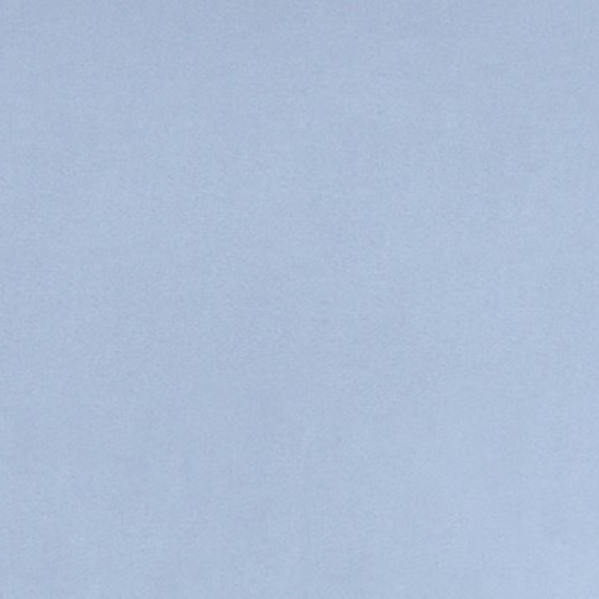 Dusty Blue Plush by Shannon Fabrics