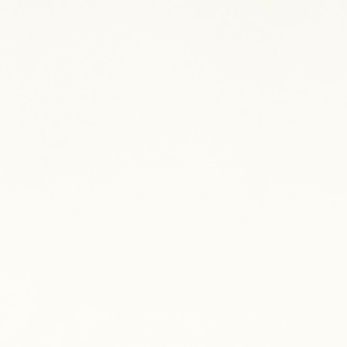 White Kozy Cuddle Plush by Shannon Fabrics